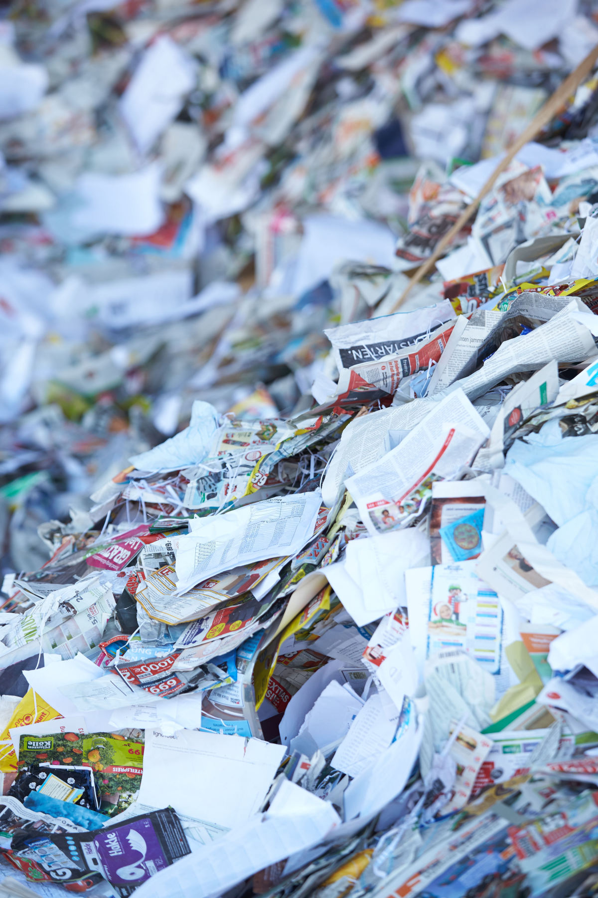 Palm Paper sets new standards for paper sorting in England - recovery